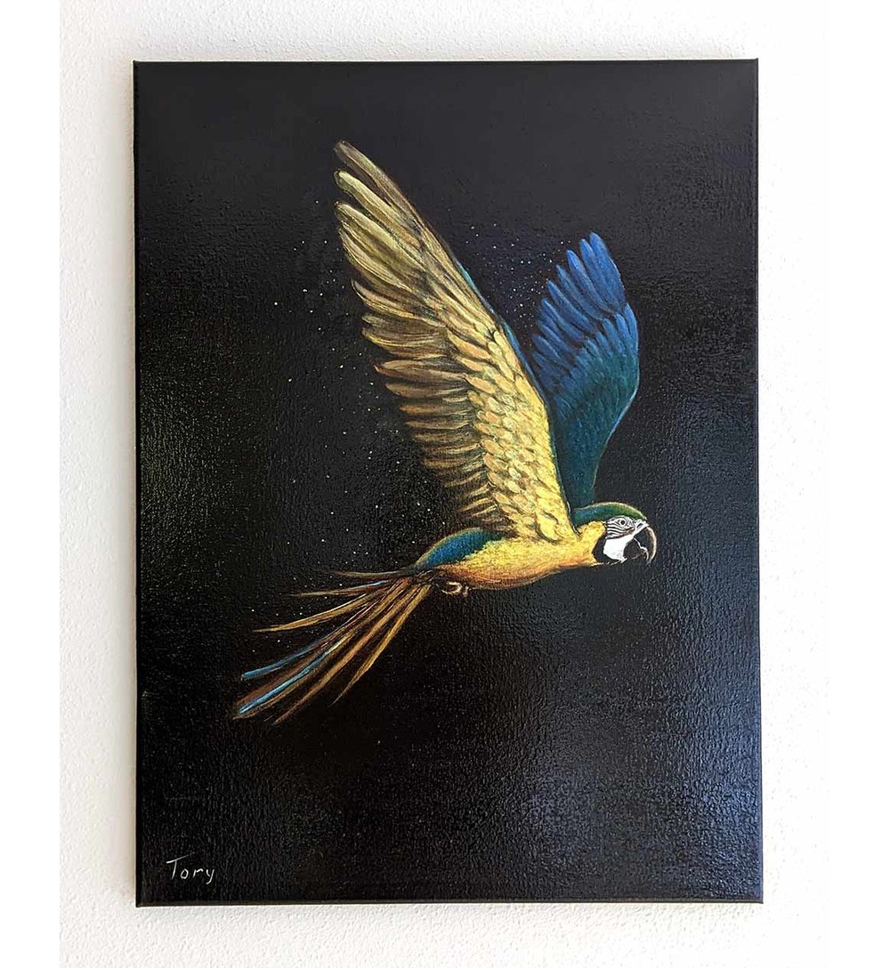 Parrot Flight - Tory Artist - digital and traditional painting